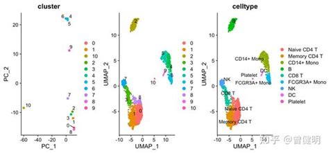 单细胞umap图上面的散点过多 知乎