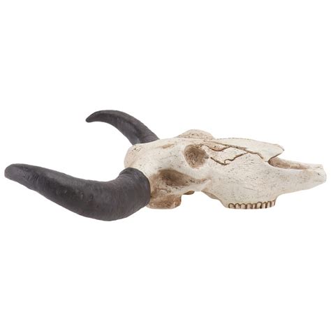 Cow Skull Side View
