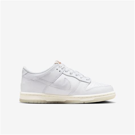 Nike Dunk Low Gs Rainbow Swoosh Fn4861 100 Nice Kicks