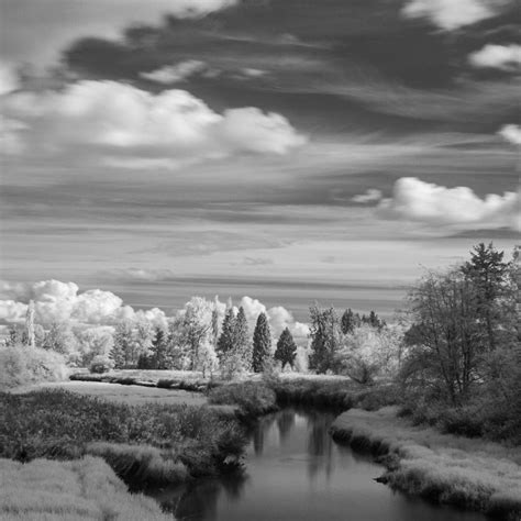 Soft Canadian Landscape In Black And White Hagen Pflueger