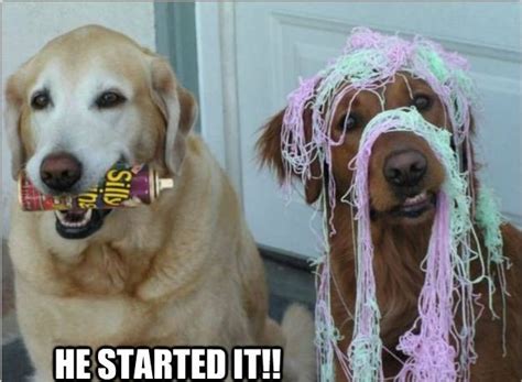 1000 Images About Silly String Memes On Pinterest Streamers Summer