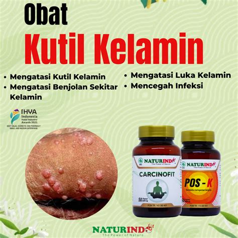 Jual Obat Kutil Kelamin Asli Mujarap Hpv Kondiloma Akuminata Genital