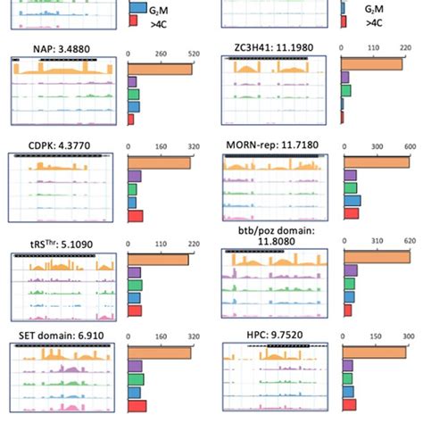 Defects Producing Sub Diploid Cells Read Mapping Profiles And