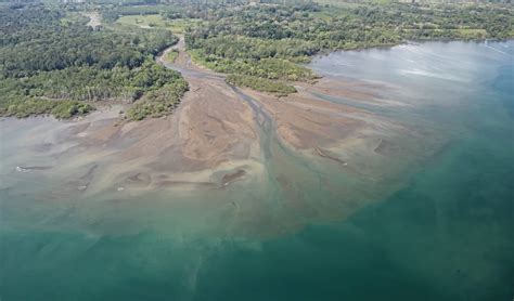 Understanding Pfas Behavior In Sediment Integral Consulting