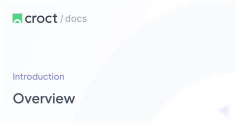 overview croct documentation