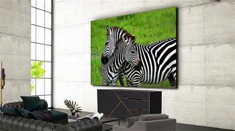 Lg Lança Tv Microled 4k De 136 Polegadas E Preço De Cair O Queixo