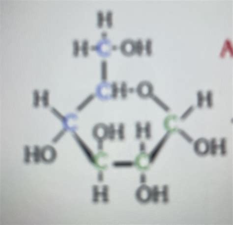 Glycolysis Structures Full Flashcards Quizlet