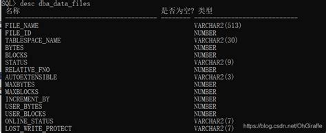 oracle实验三：数据字典和性能视图的使用 通过数据字典查看数据库的物理结构和后台进程 csdn博客