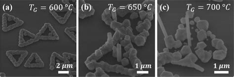 Mixed Dimensional Inas Nanowire On Layered Molybdenum Disulfide Heterostructures Via Selective