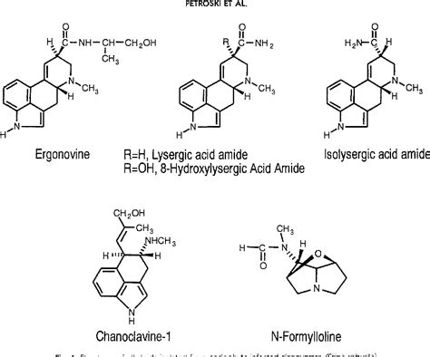 Neoascochyta Paspali Semantic Scholar