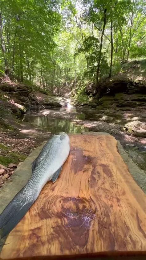 گله داری در ایل قشقایی Herbs Food Cannibas