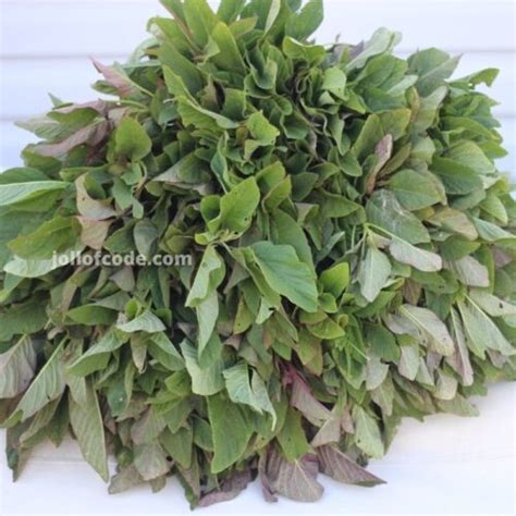 Nigerian Efo Tete Seeds Jollof Code