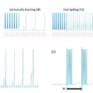 A Observed Spike Patterns Of Our Analog Neuron Circuit Simulated In Download Scientific