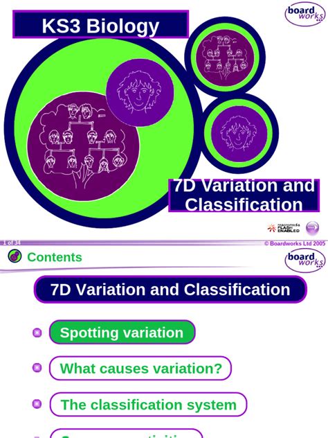 7d Variation And Classification Pdf Biology Zoology