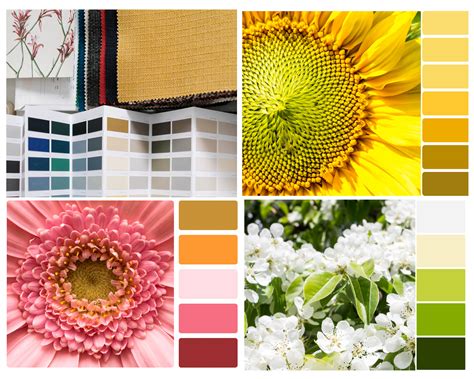 Flowers By Color Search 86 Popular Types Of Flowers To Add To A