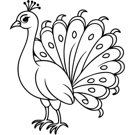 Line Drawing Peacock Bird Isolate Solid White Background 47458936 Vector Art At Vecteezy