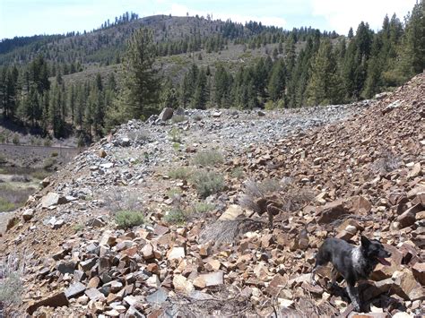 Geotechnical Soils And Engineering Geology Reports Steven C Devin P E G E