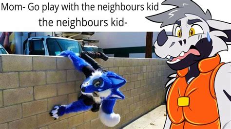 50 Furry Memes That Will Make You Laugh