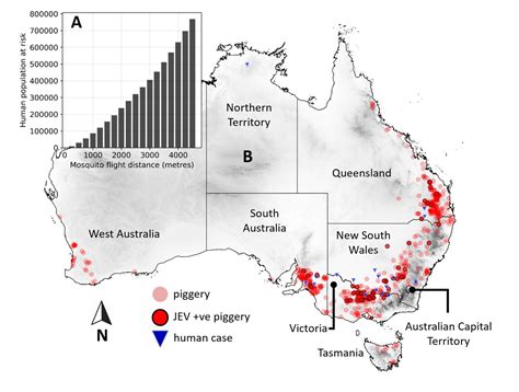 Extreme Concern As 750000 Australians Exposed To Jev Neurological