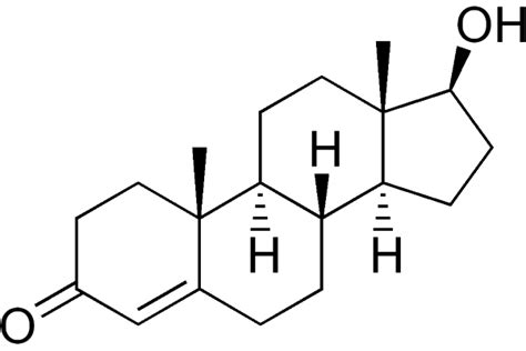 Building Muscles Without Testosterone Xbodyconcepts