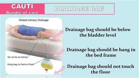 Cauti Bundle Of Care Pptx
