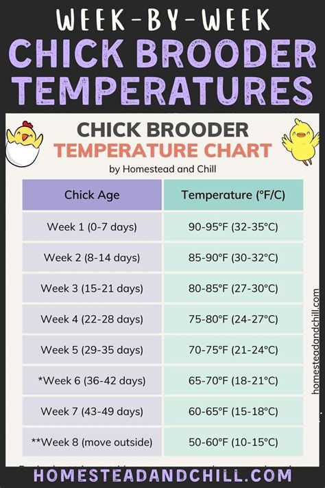 Diy Chick Brooder Box Ideas Essential Supplies And Tips Beginner