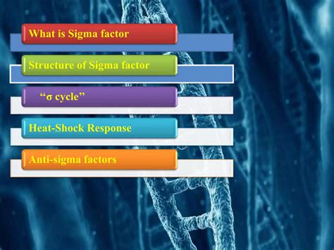 Role Of Sigma Factorpptx
