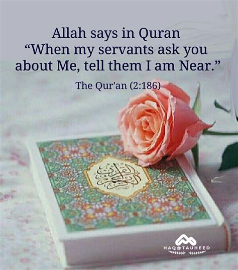 Beautiful Collection Of The Holy Quran Quotes Verses Artofit