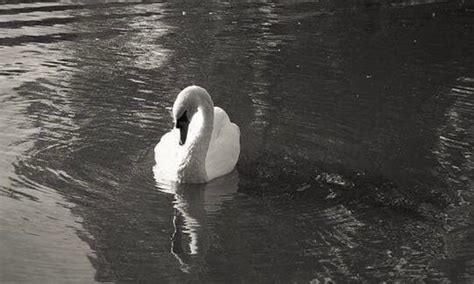 Ii Irreplaceable Take Me Back To The Night We Met By Richelle