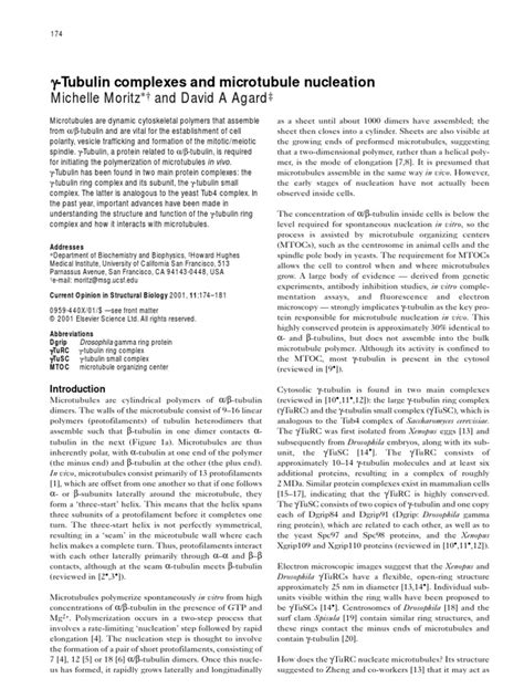 Pdf γ Tubulin Complexes And Microtubule Nucleation Dokumen Tips
