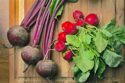 Radish Vs Beet Whats The Difference