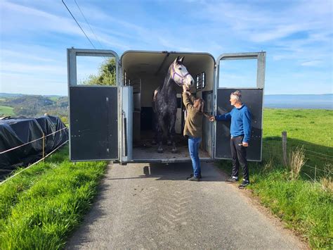 Association La Réserve Protection Des équidés Aprc Group