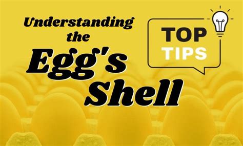 Understanding The Eggs Shell Sr Publications
