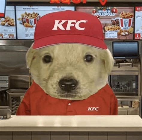 Perrito Kfc Meme Meme Perrito Kfc Kfc Meme Discover And Share S