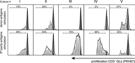 Donor Specific Immune Regulation By Cd8 Lymphocytes Expanded From