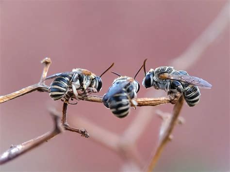 Lévolution Des Api Un Atout Majeur Pour Le Marketing Digital Econnectfr