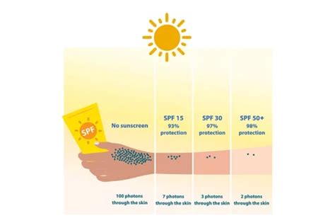 Understanding Spf What The Numbers Really Mean Zicail