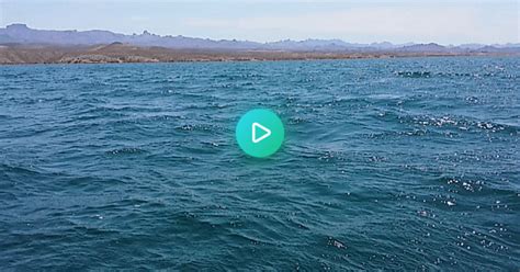 Can Anyone Make These Smooth Album On Imgur