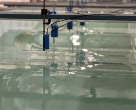 Very Grateful To The Faculty Of Sciences Engineering And Technology For Supporting Our