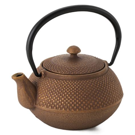 Logia Associates Nambu Ironware Iron Bottle Teapot Arare Made In Japan