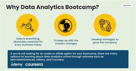 Why Data Analytics Bootcamps Are Crucial In Modern Business Needs