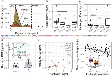 Cell Type Deconvolution Of Urinary Cfdna Reveals Host Response To