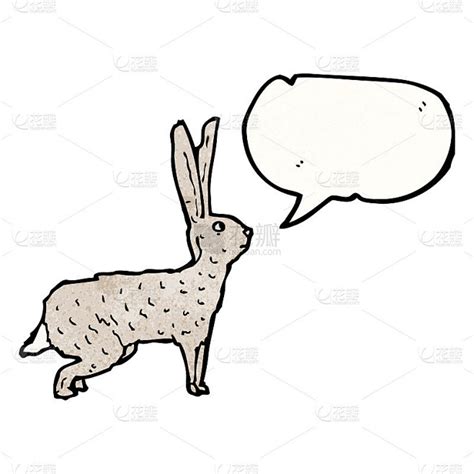 兔子插图
