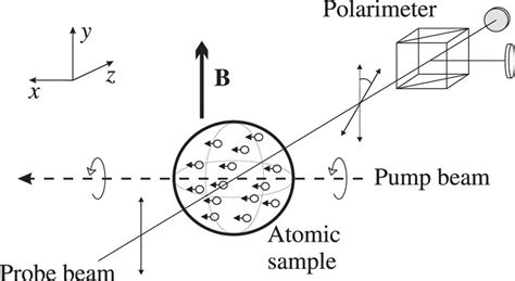 Schematic Diagram Of The Serf Atomic Magnetometer 30 Here B Is The