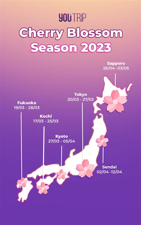 When Is Cherry Blossom Season In Japan 2023 at Joseph Auricht blog