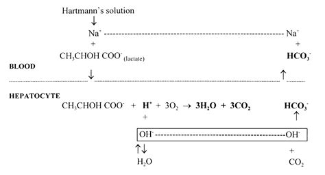 Hartmanns Solution • Litfl • Ccc