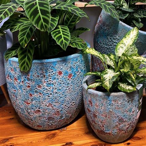 Earthenware Plant Pots Plants Hello Hello Plants And Garden Supplies