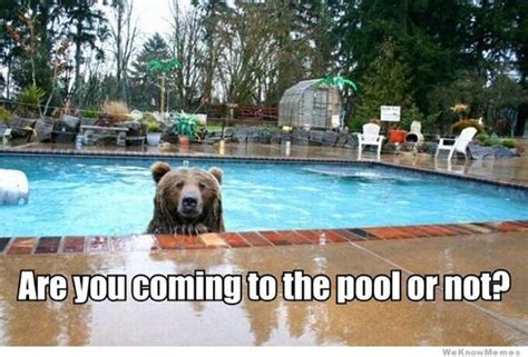 50 Funny Pool Memes To Get You Excited For The First Day Of Summer Yourtango