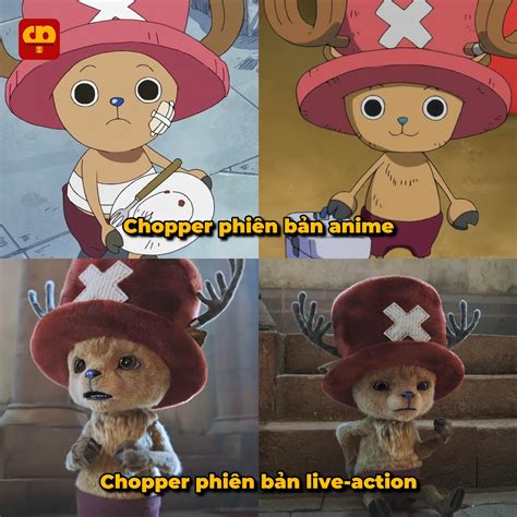 Cuồng Hai Phiên Bản Tony Tony Chopper Trên Màn ảnh 🫶 Cuồngphim