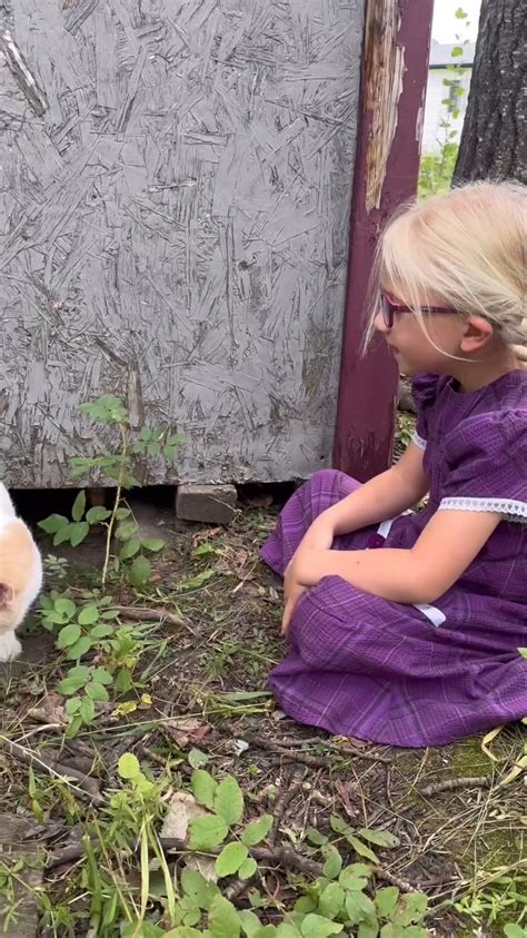 She Waited Patiently For The Kitten To Come To Her So They Could Cuddle